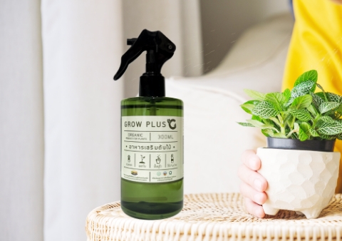 Grow Plus | Interhides public company limited (IHL)